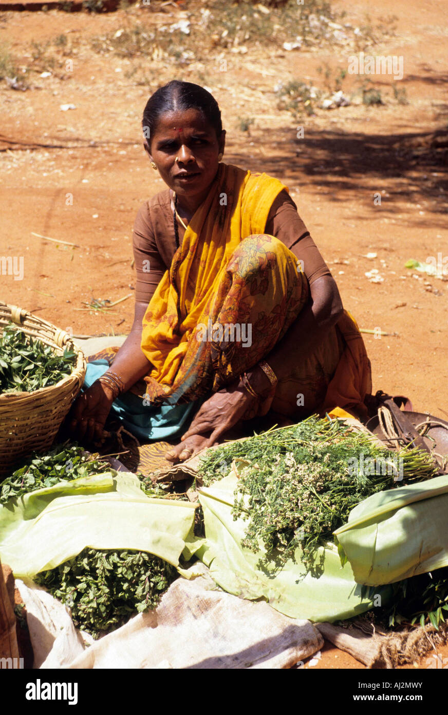 South India Kerela Village Life Stock Photo - Alamy