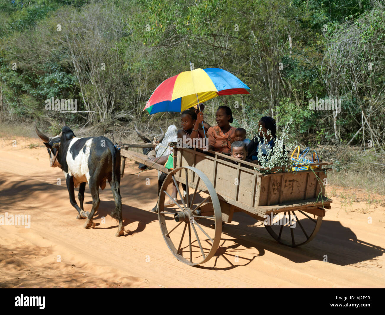 Cattle drawn cart hi-res stock photography and images - Alamy