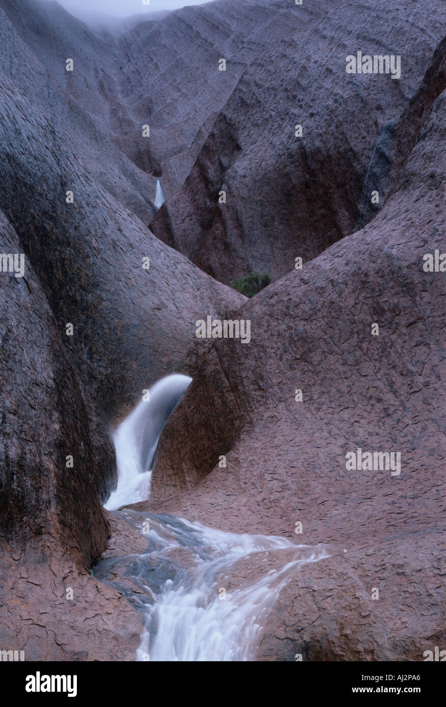 Australia Northern Territory Uluru Kata Tjuta National Park Water ...