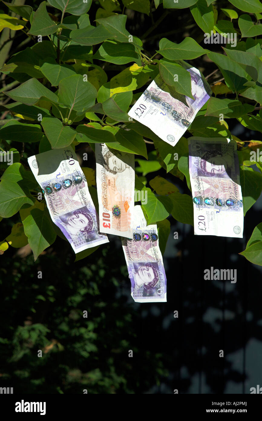 Money growing on tree Stock Photo - Alamy