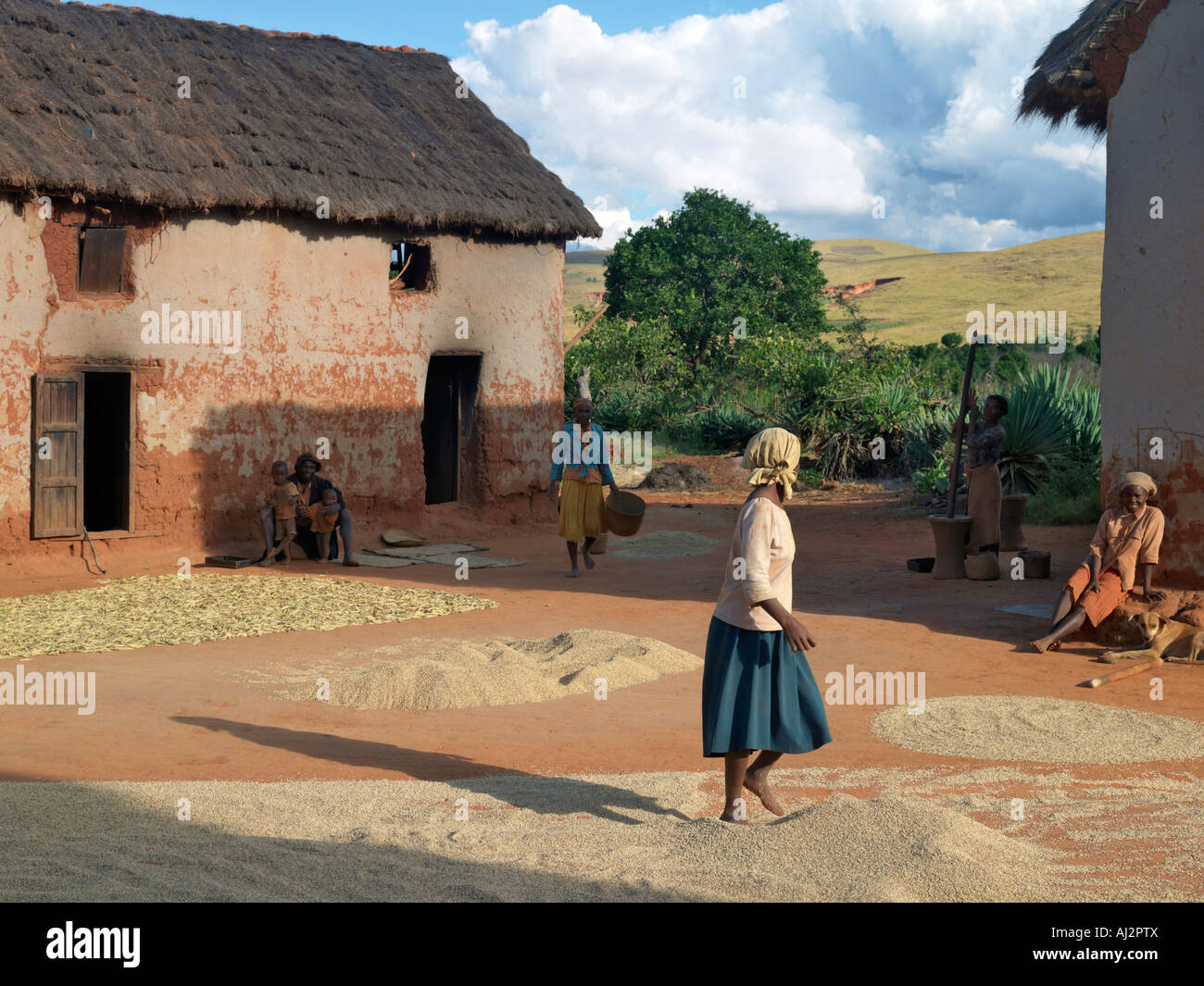 Drying grain africa hi-res stock photography and images - Alamy