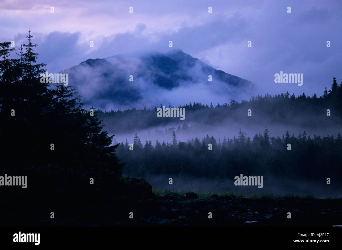 USA Alaska Tongass National Forest Mist flows through old growth ...