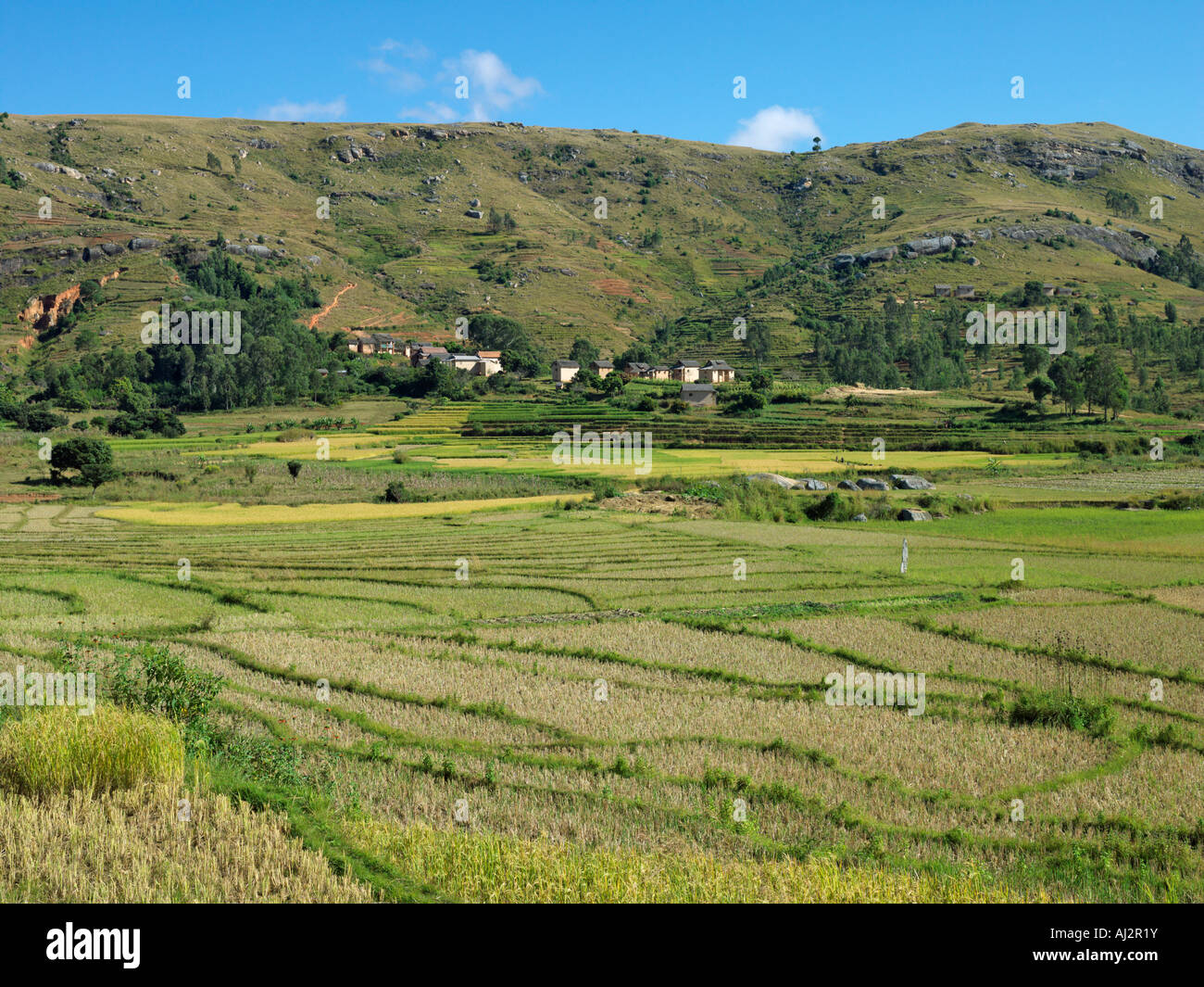 Rice paddies and a Betsileo hamlet near Ambalavao, Madagascar Stock ...