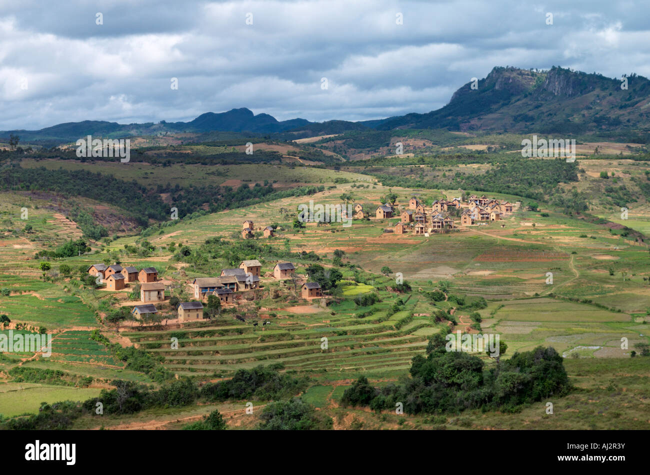 Betsileo rice hi-res stock photography and images - Alamy