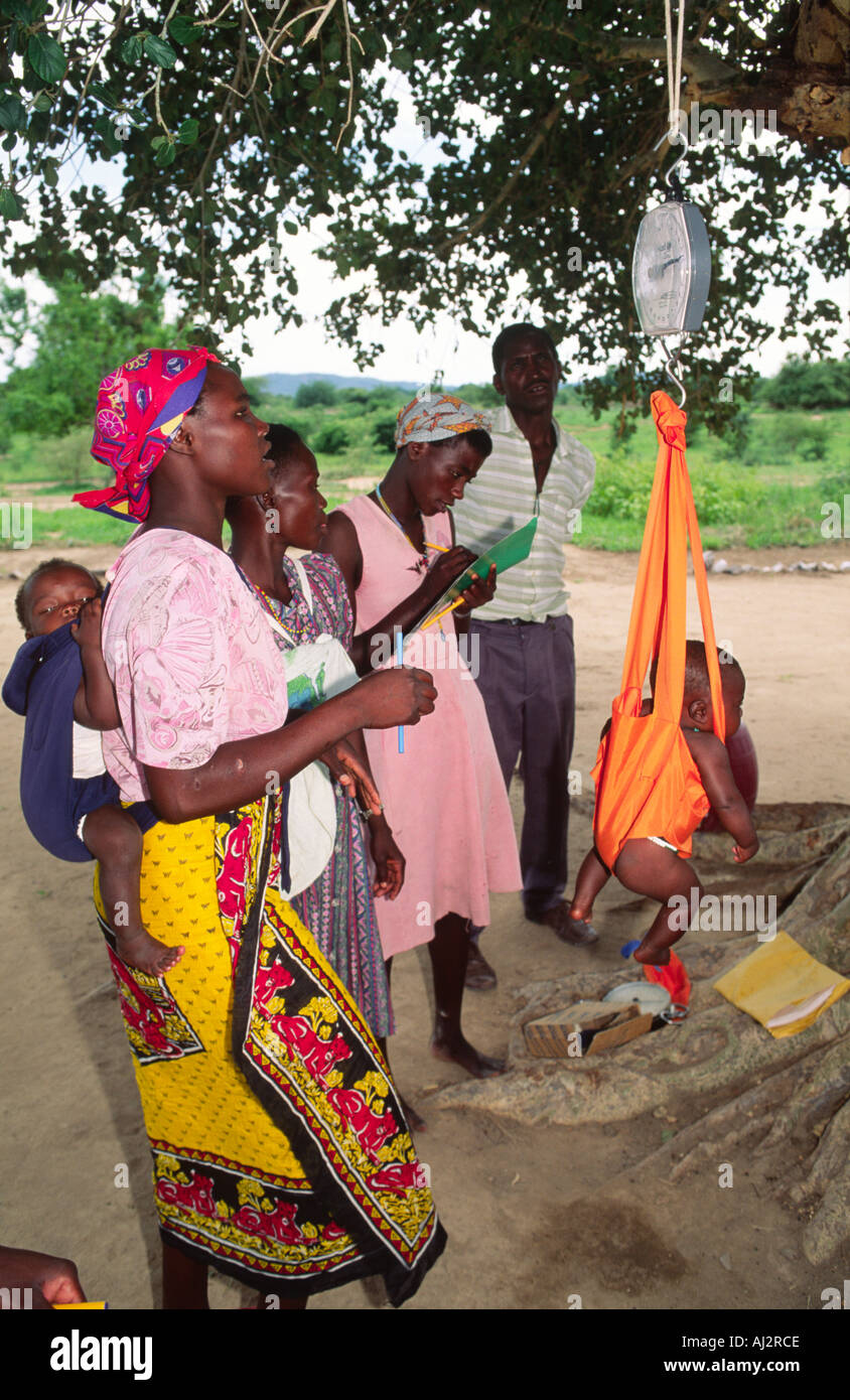 Community health care worker weighing a baby from a tree branch at an ...