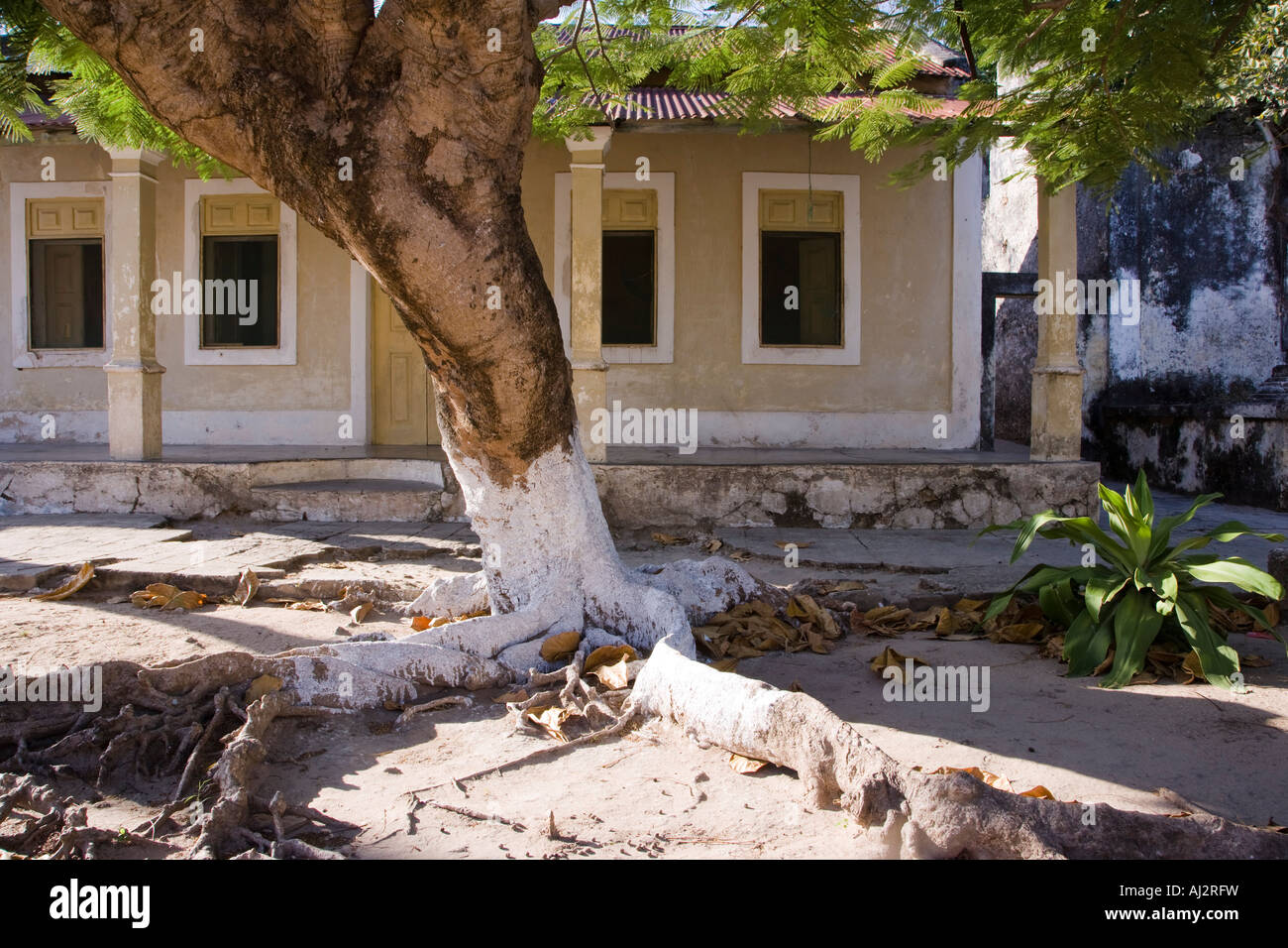 Crumbling colonial villas on Ibo Island, part of the Quirimbas ...
