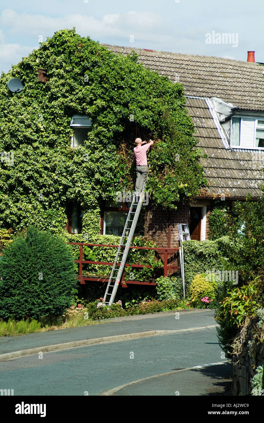Houseowner maintaing his property Stock Photo - Alamy