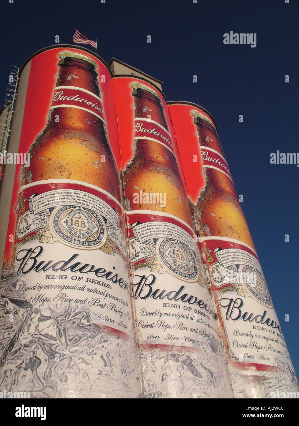 Holding budweiser hi-res stock photography and images - Alamy
