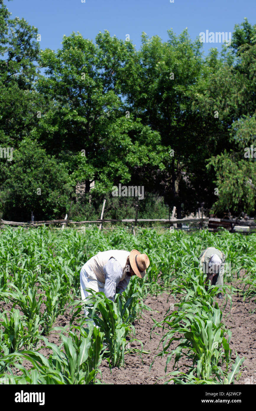"Farmers" working field c. 1850, Living History Farms Stock Photo - Alamy