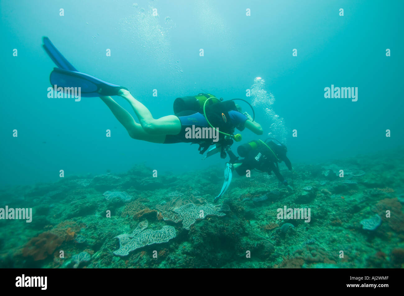 Africa Kenya Watamu Young couple scuba diving along shallow coral reef ...