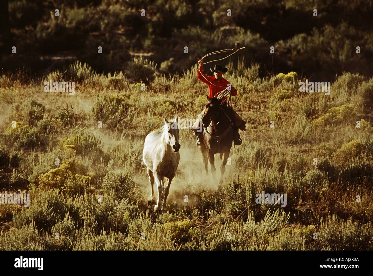 Twirling rope hi-res stock photography and images - Alamy