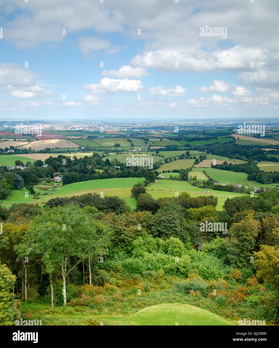 Haldon hill hi-res stock photography and images - Alamy