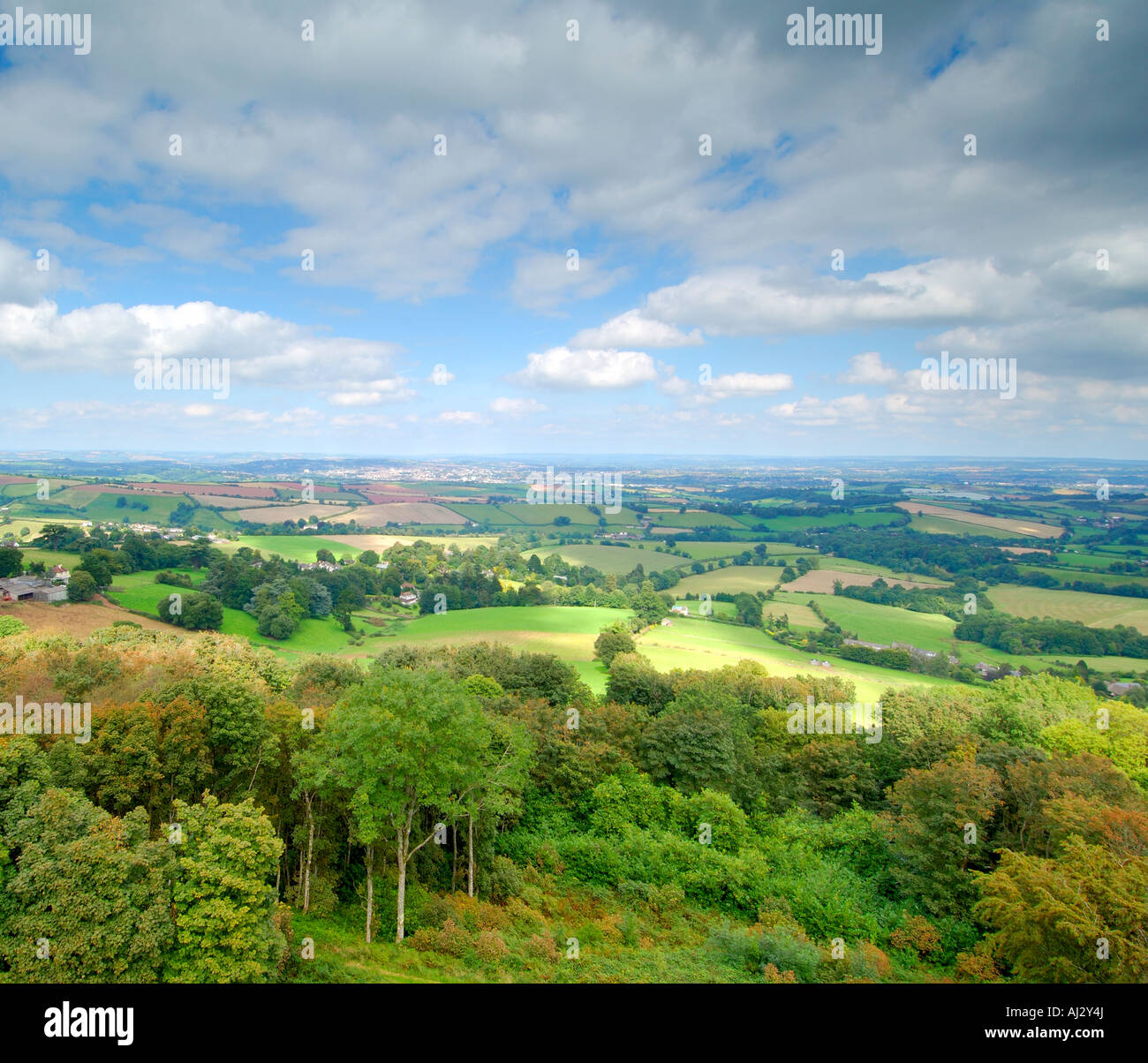 Haldon hill hi-res stock photography and images - Alamy