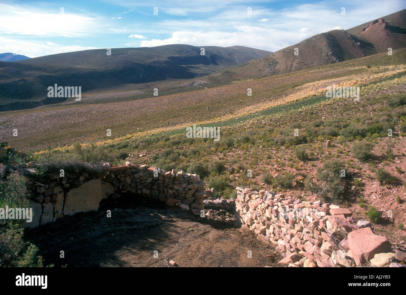 Ancient stony courtyard for domestic goats and llamas at higher Andes ...