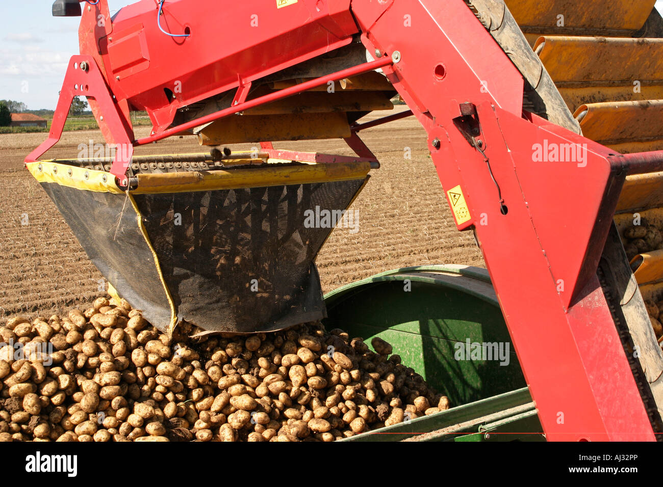 Elevator potato harvester loading trailer hi-res stock photography and ...