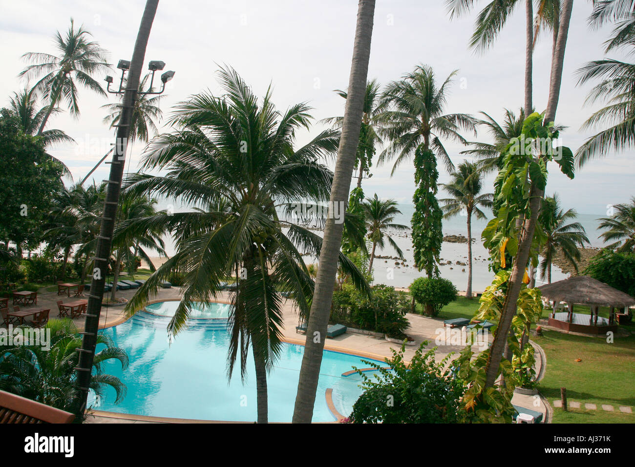 tropical resort in samui thailand palm trees and pool Stock Photo - Alamy