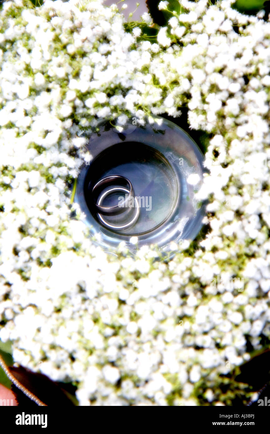 ring pad for the wedding rings Stock Photo - Alamy