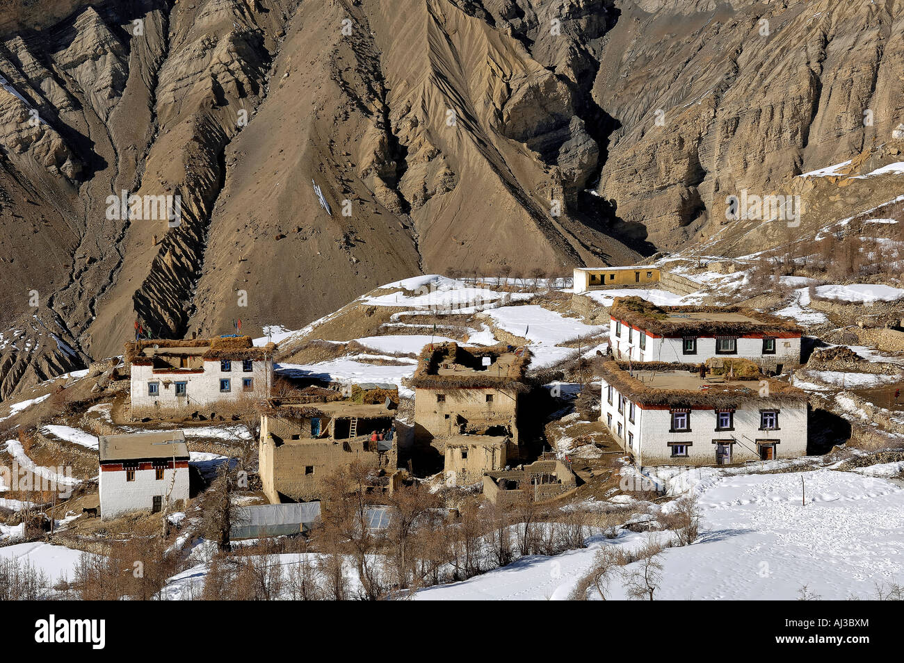 India, Jammu and Kashmir, Ladakh Himalaya, Spiti Valley, Lhalung ...