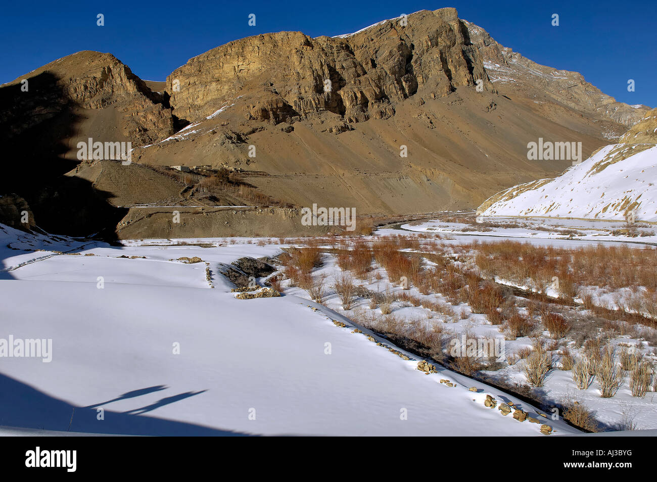 India, Jammu and Kashmir, Ladakh Himalaya, Spiti Valley, Lhalung valley ...