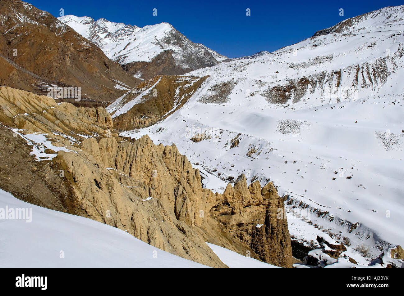 India, Jammu and Kashmir, Ladakh Himalaya, Spiti Valley, Lhalung valley ...