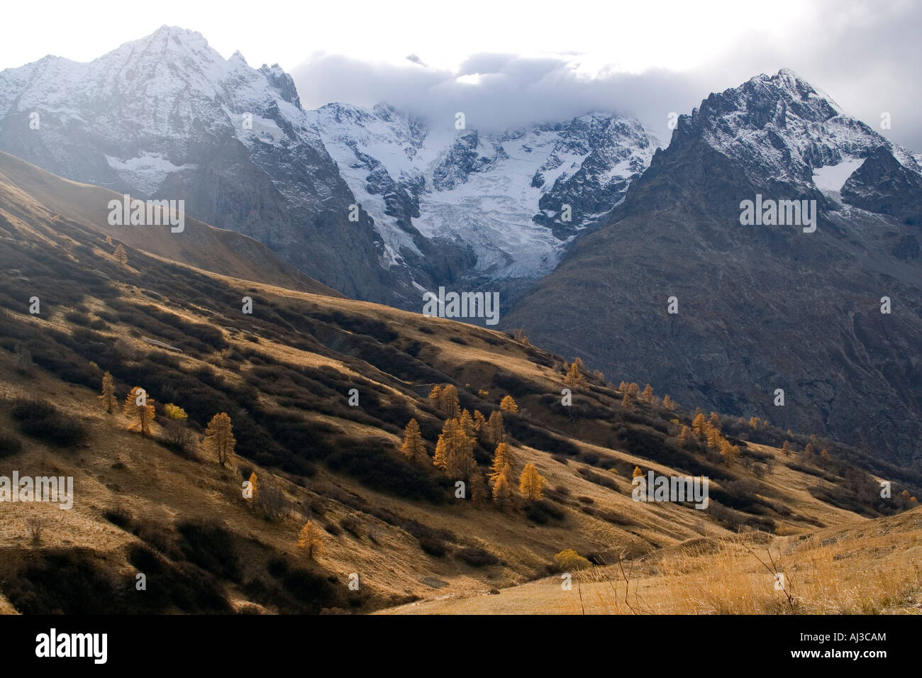 France, Hautes Alpes, around Lautaret Pass, view on Meije Mountain ...