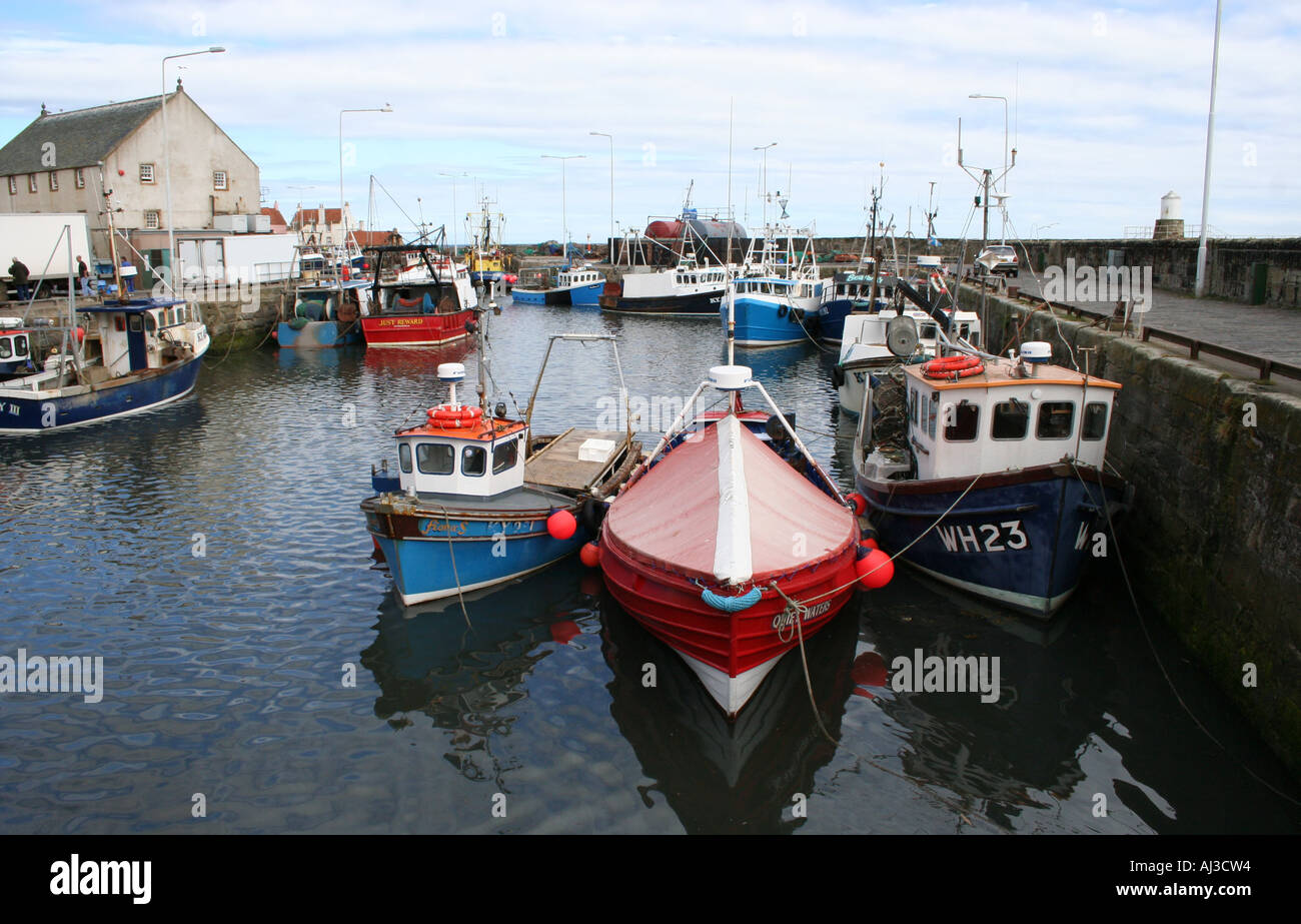 Pittenweem harbour with scottish fishing boats Fife Scotland August ...