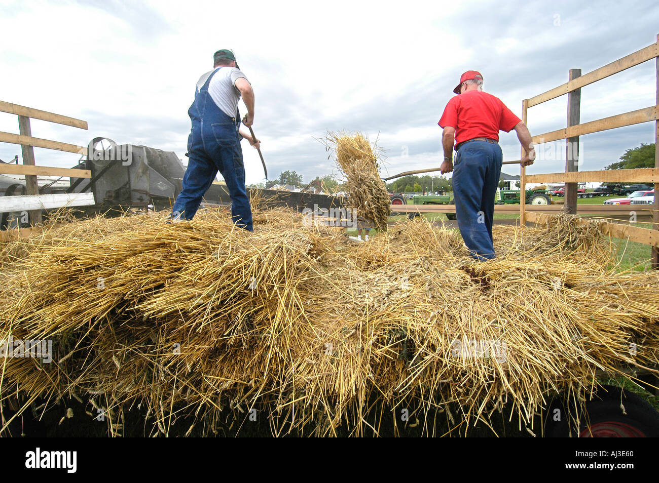 Farmers Work as Team to Harvest Crops Stock Photo - Alamy