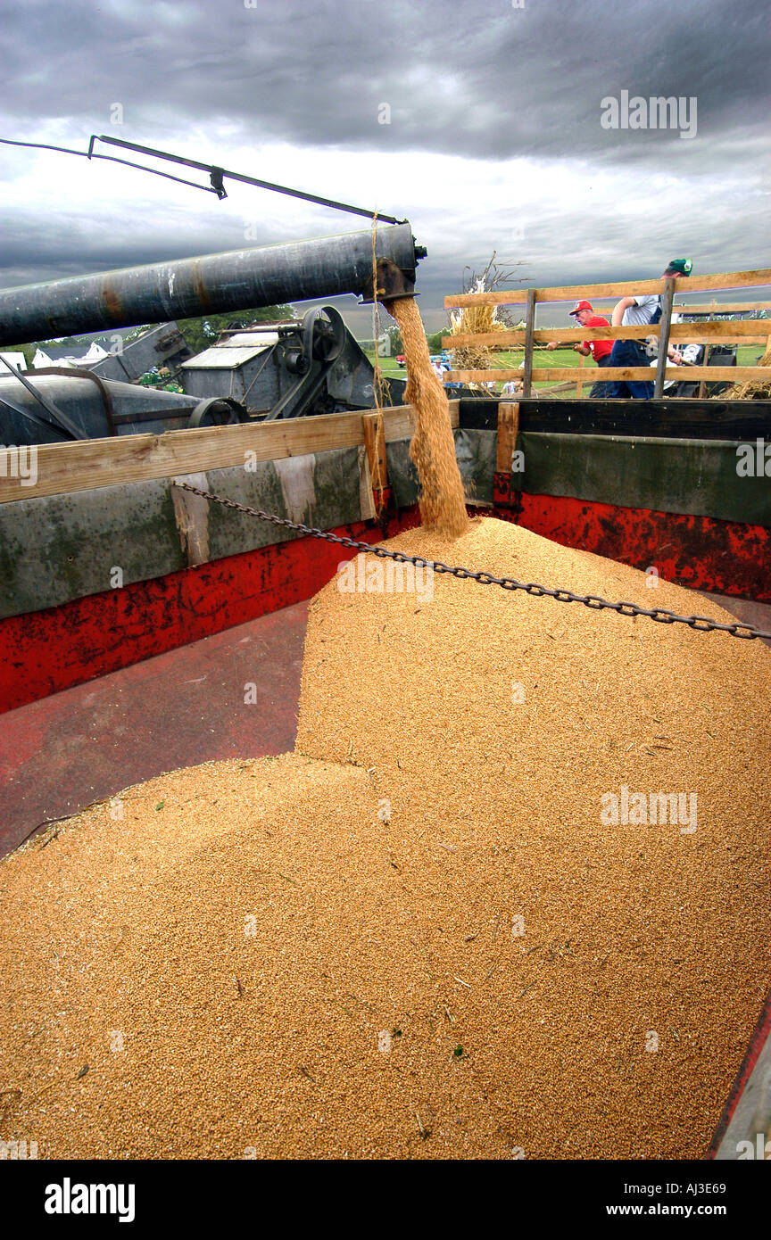 Farmers Work as Team to Harvest Crops Stock Photo - Alamy
