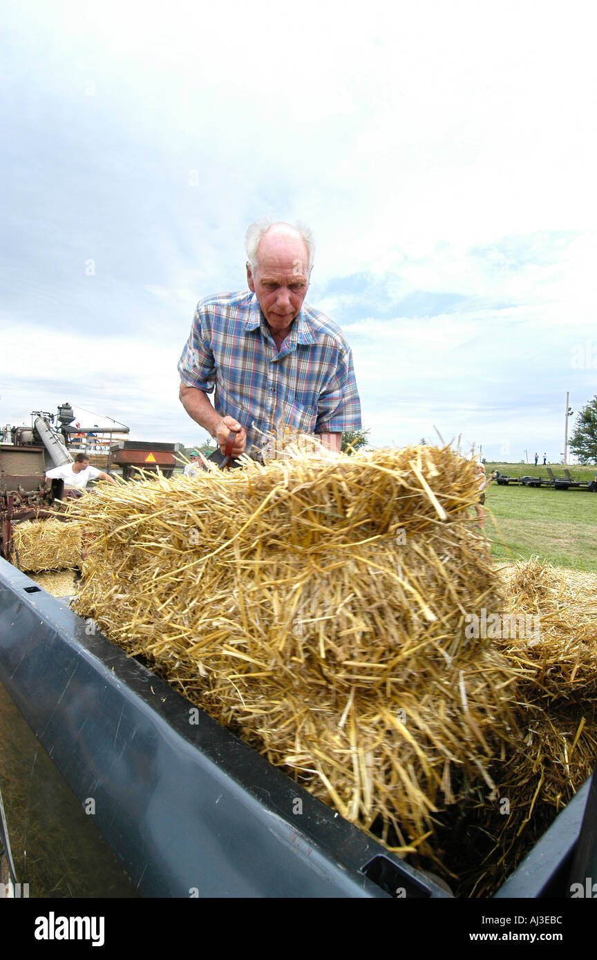 Farmers Work as Team to Harvest Crops Stock Photo - Alamy
