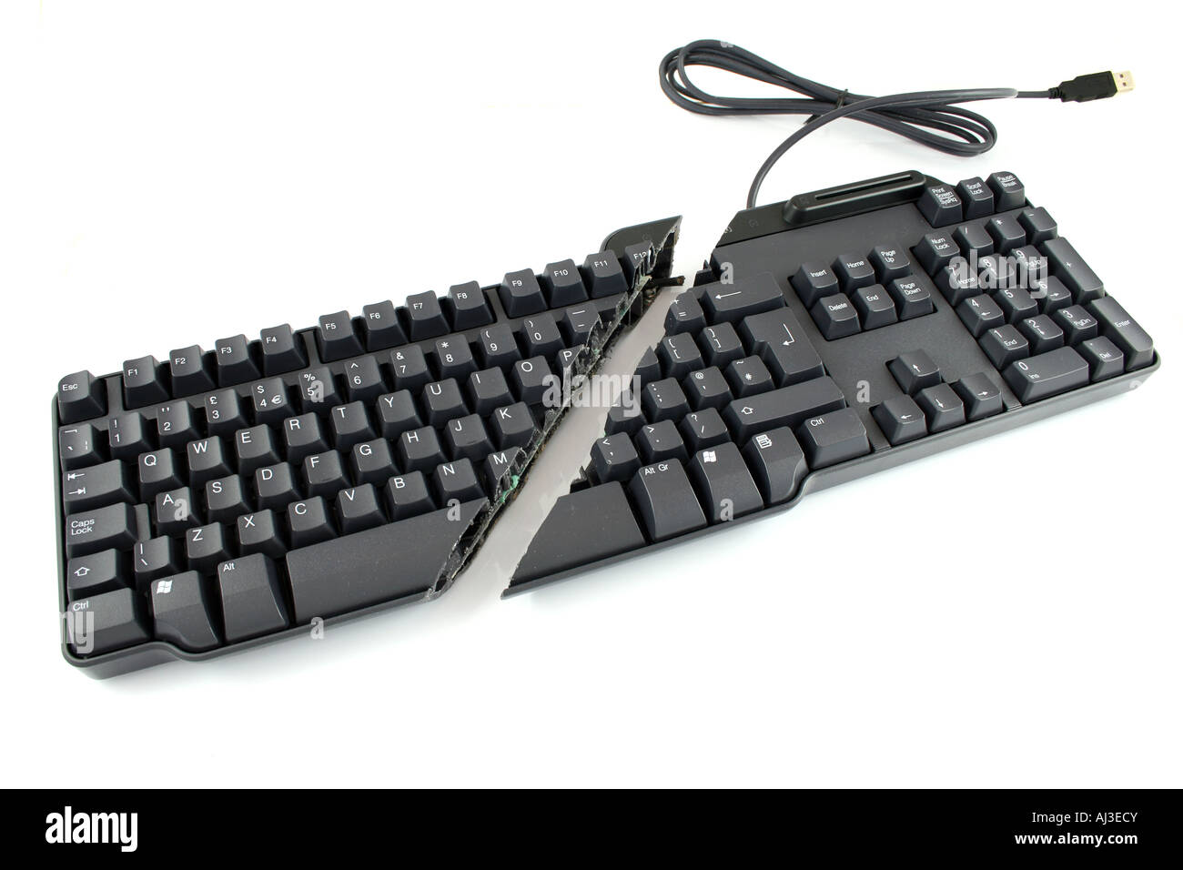 Sawn in half hi-res stock photography and images - Alamy