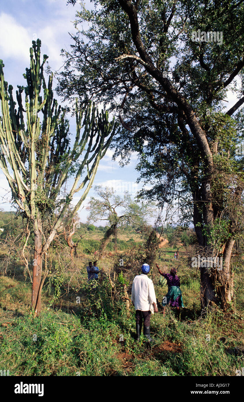Local farmers clearing community land of scrub ready for planting crops ...
