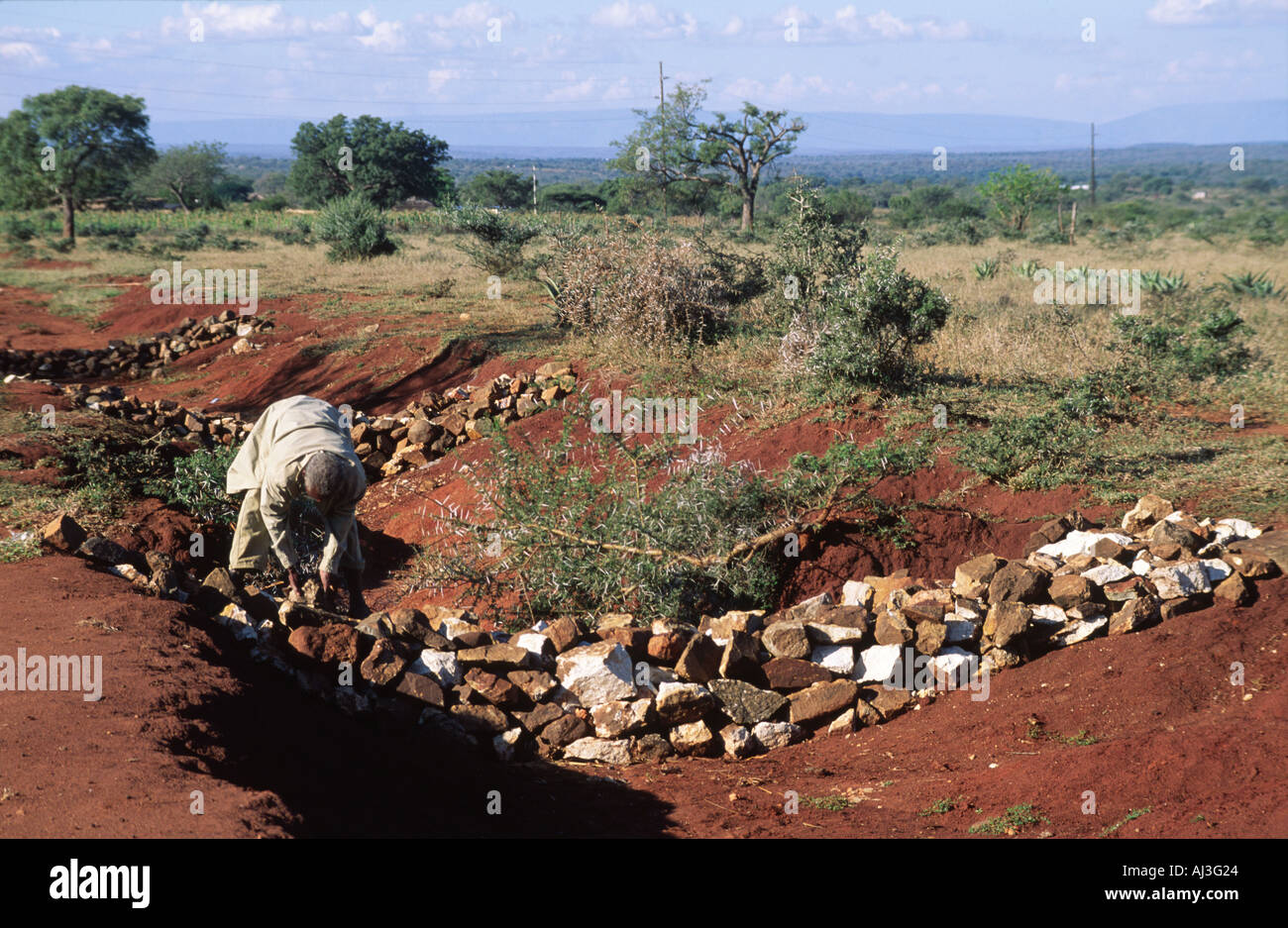 Soil Erosion Prevention Techniques