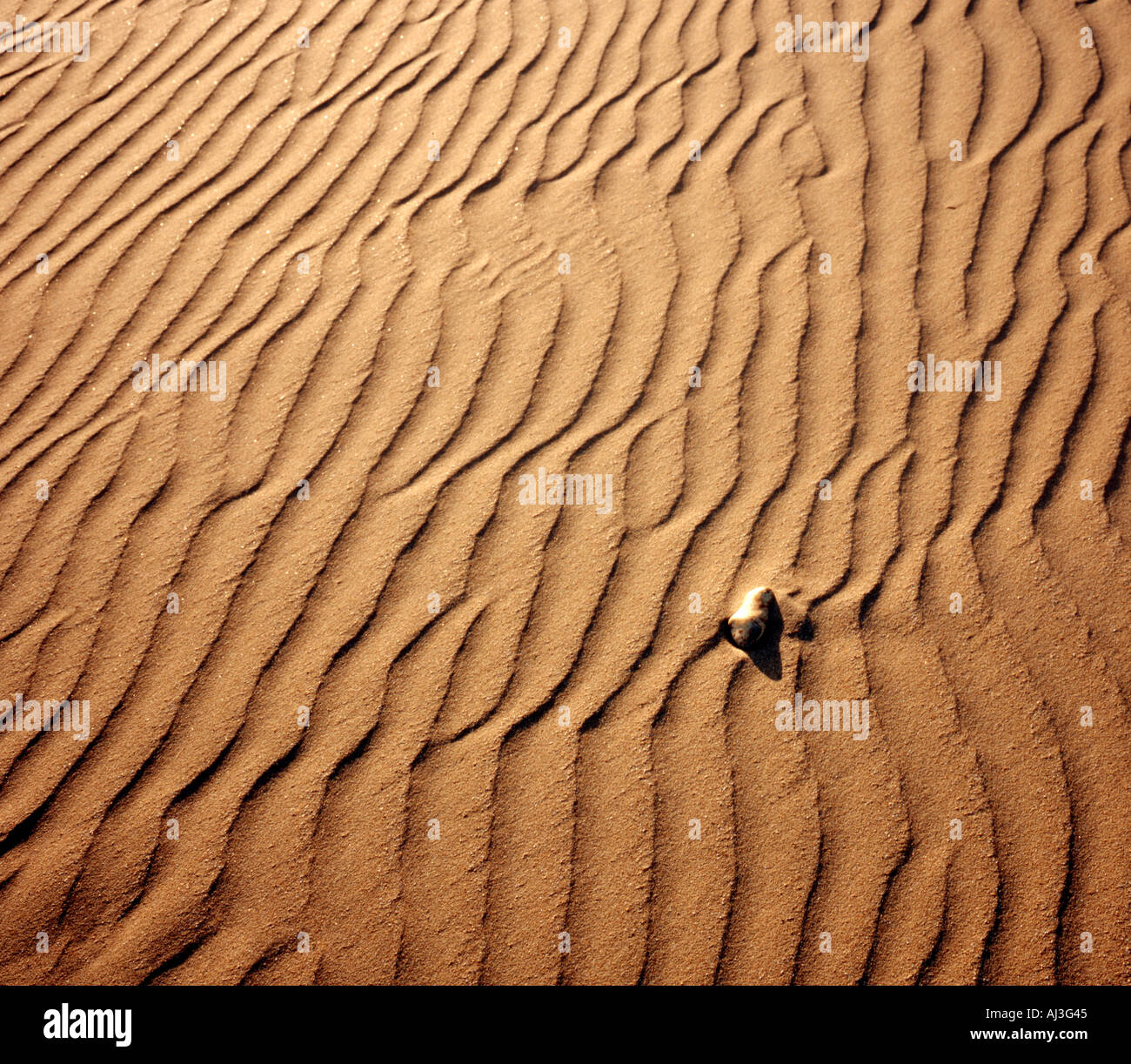 Wind patterns in sand dune Stock Photo - Alamy