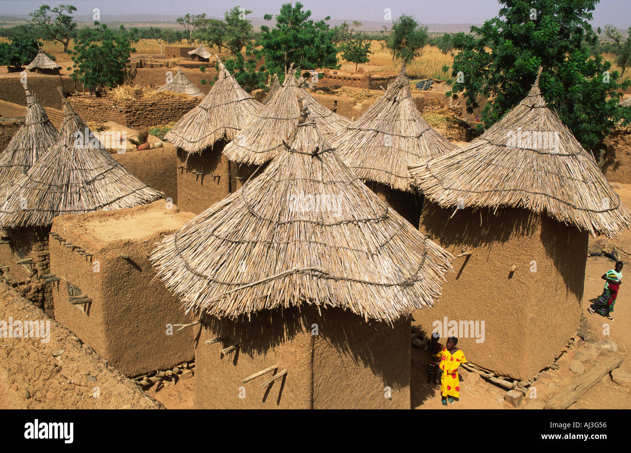 Traditional Dogon grain stores in Kani-Kombole village, Mopti Region ...