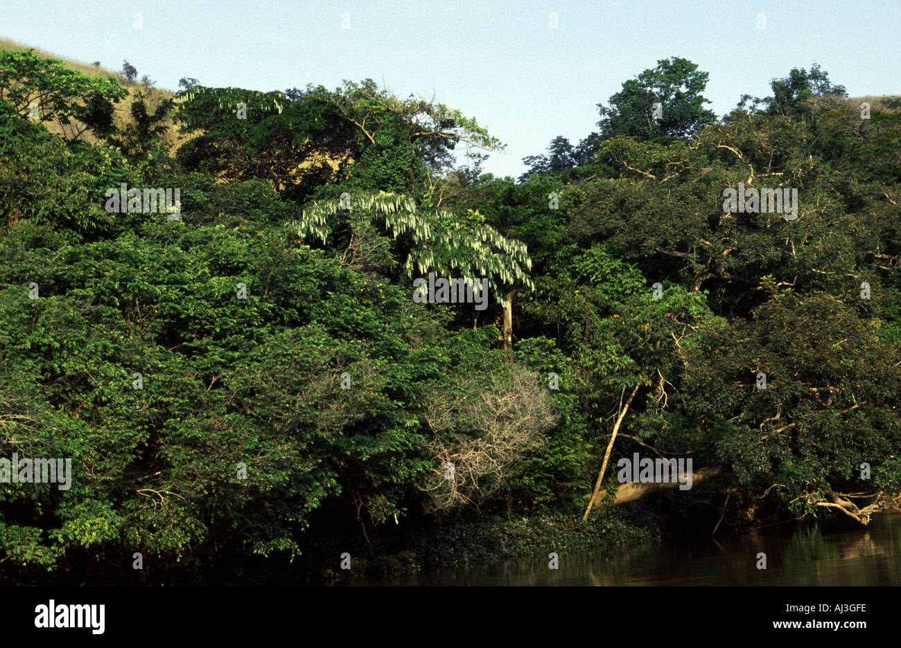 Ogooué river africa hi-res stock photography and images - Alamy