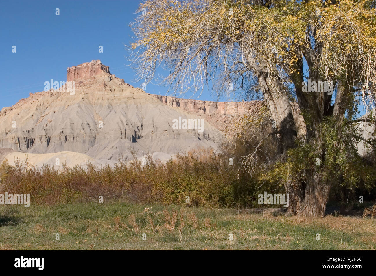 Utah Landscape USA Stock Photo - Alamy