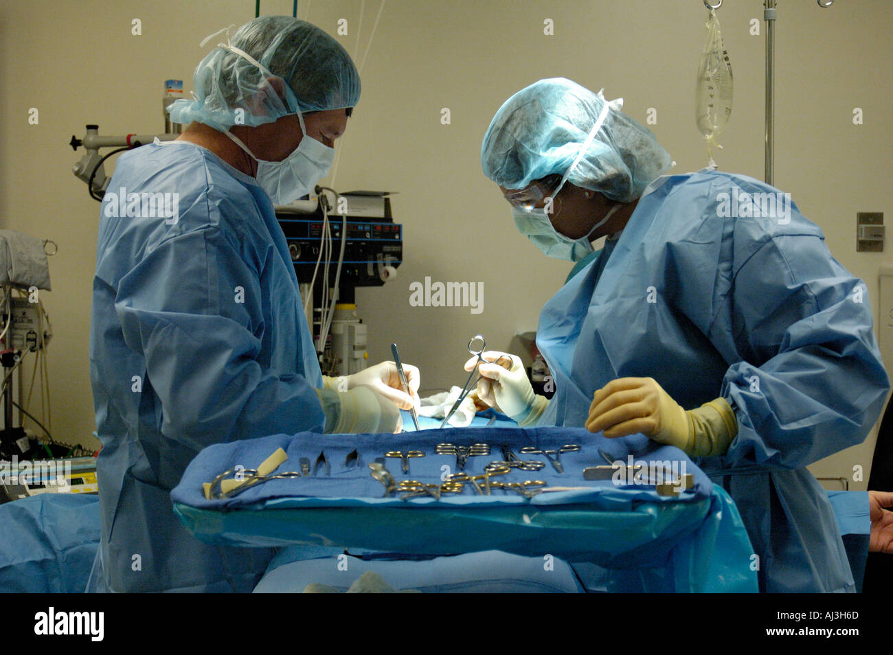 Abdominal Surgical Procedure With Doctor Scrub Nurse Stock Photo - Alamy