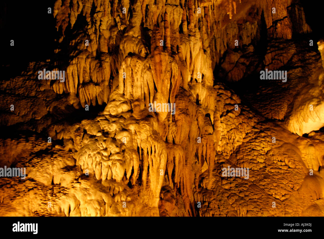 How Are Caves Formed In Florida at Ashleigh Salvatore blog