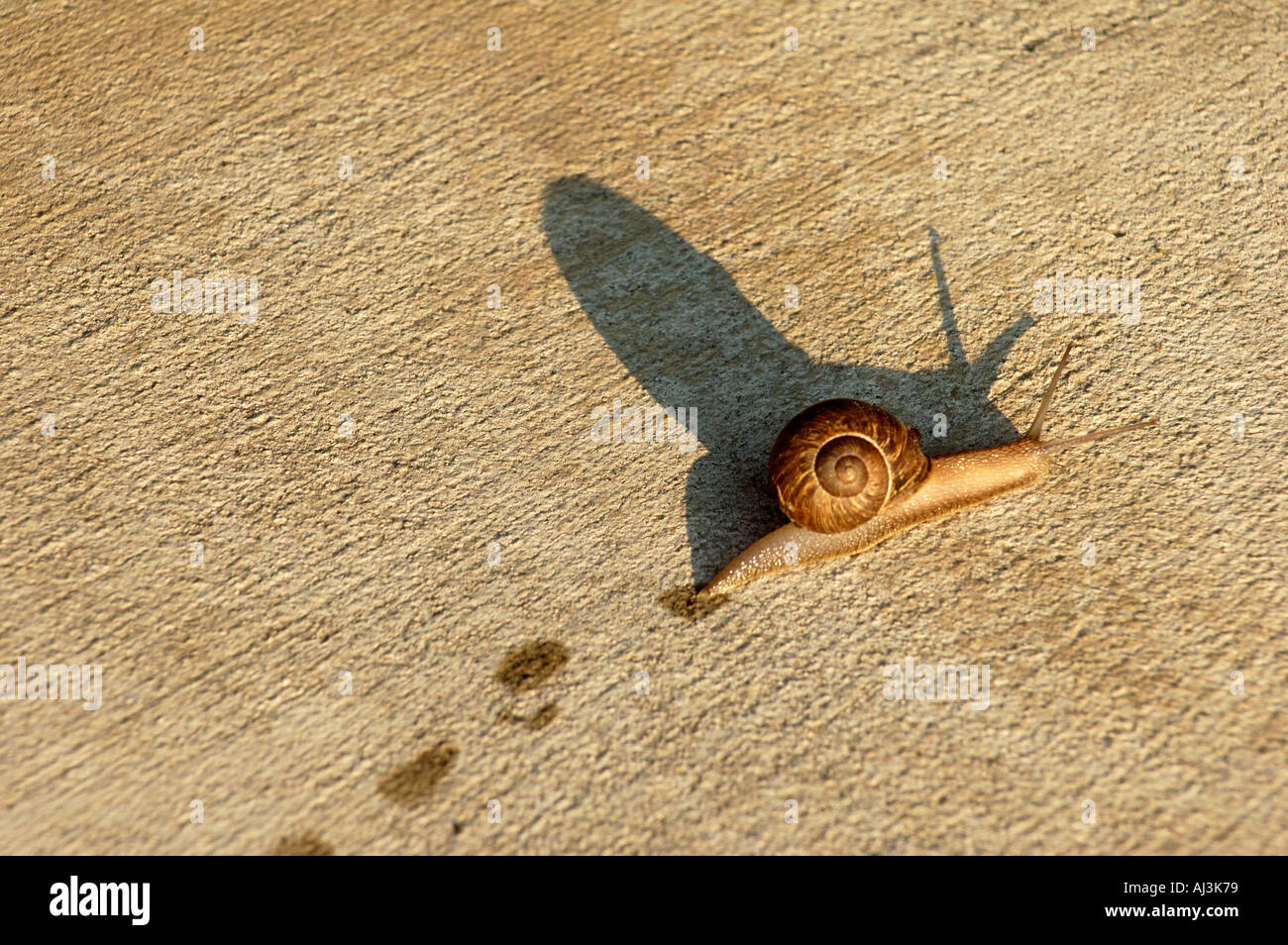 Relaxed pace of life hi-res stock photography and images - Alamy