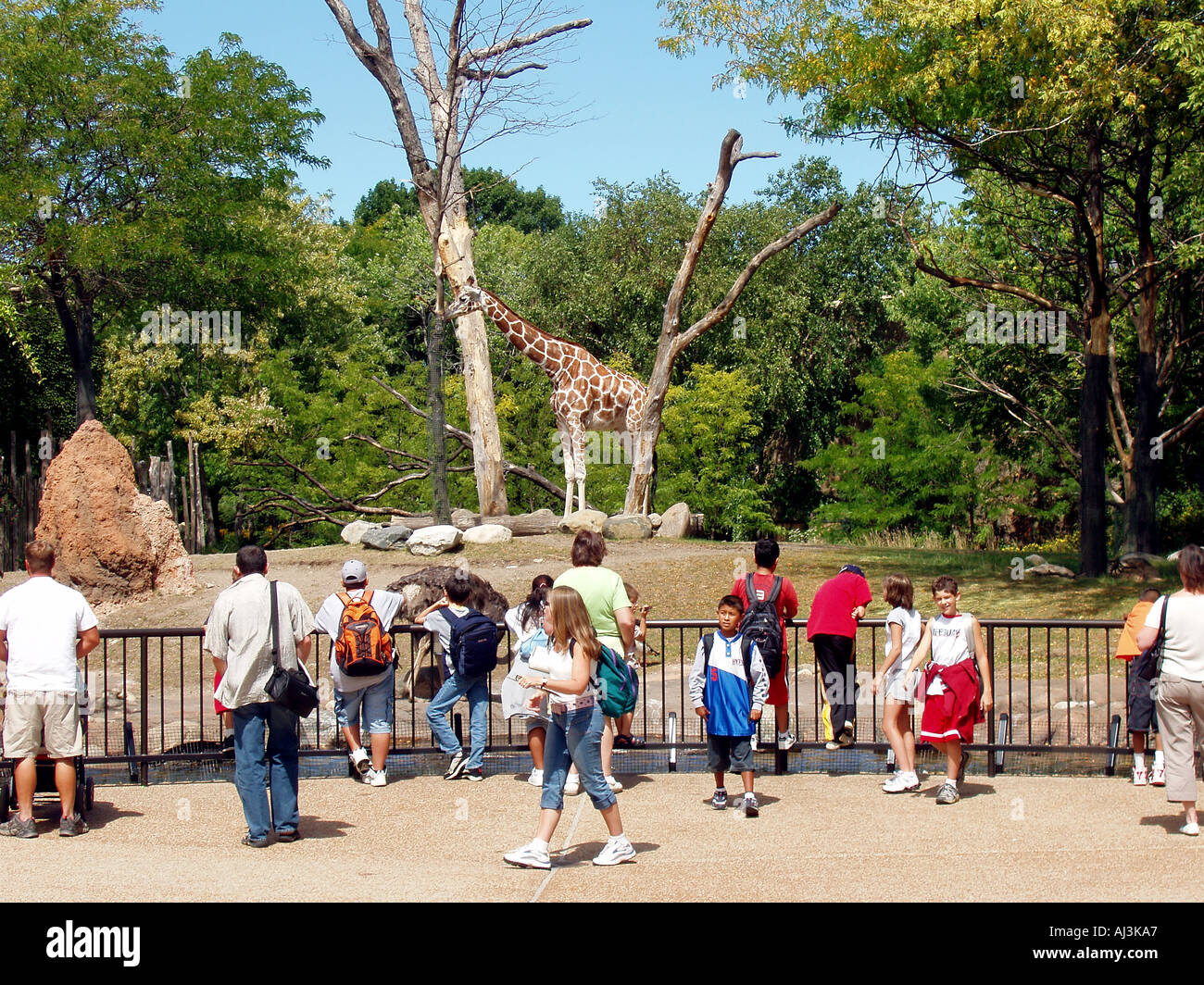 Lincoln park zoo birds hi-res stock photography and images - Alamy