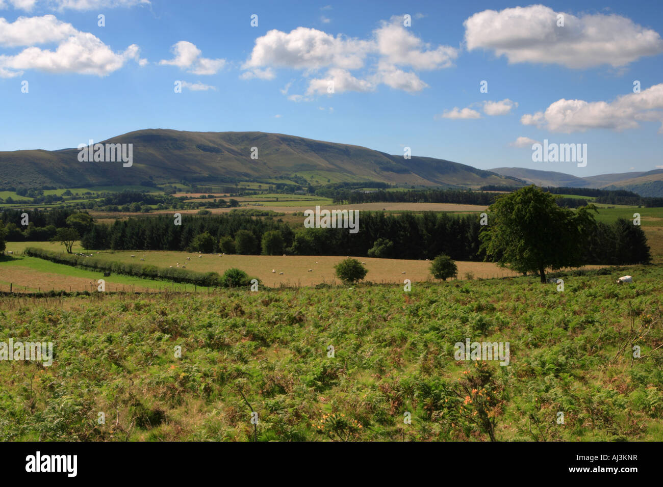 Brecon Beacons, Wales Stock Photo - Alamy