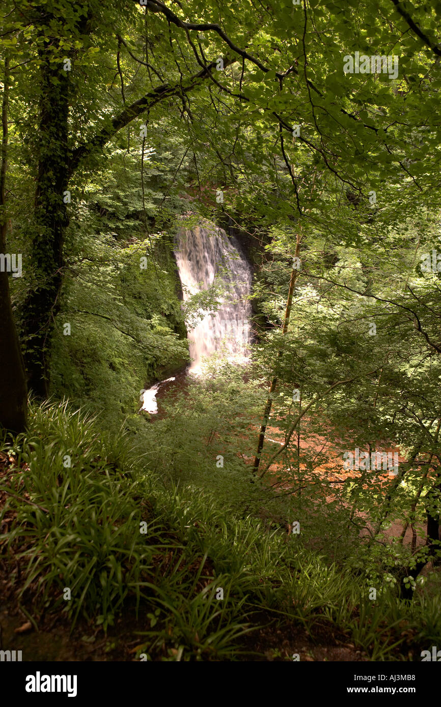 Falling Foss Waterfall in May Beck North York Moors National Park ...