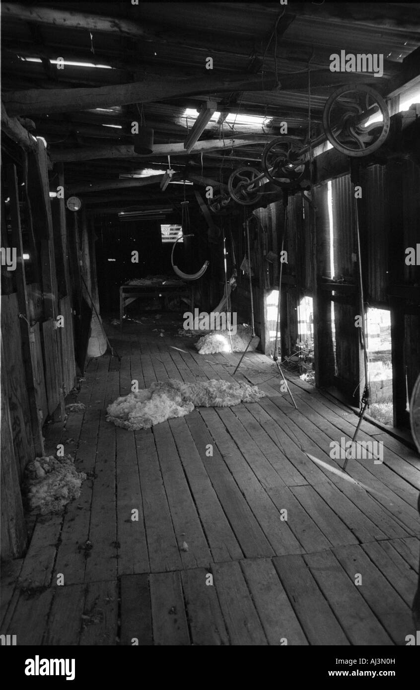 Shearers outside woolshed hi-res stock photography and images - Alamy
