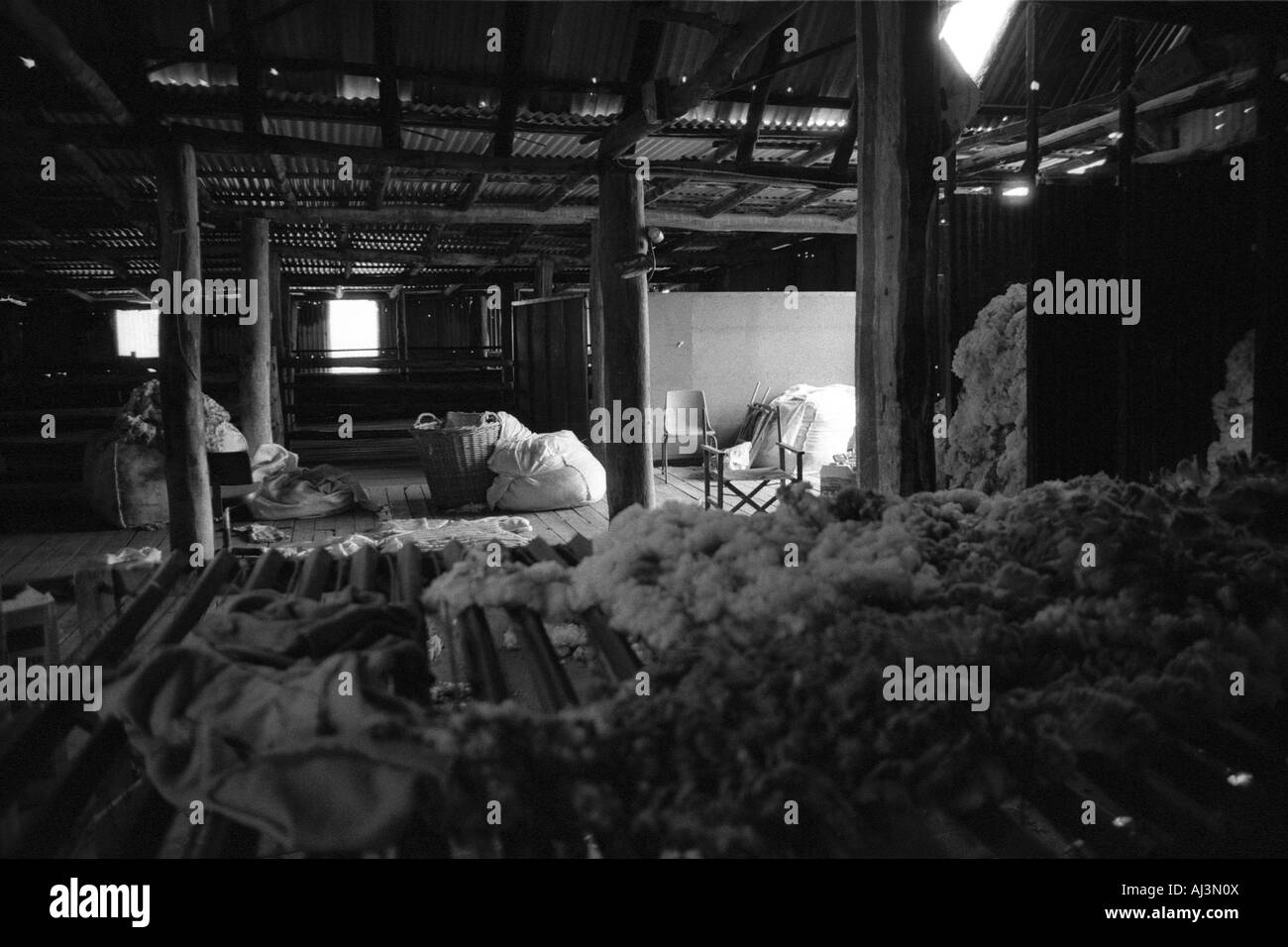Woolshed, Farm, New South Wales, Australia Stock Photo - Alamy