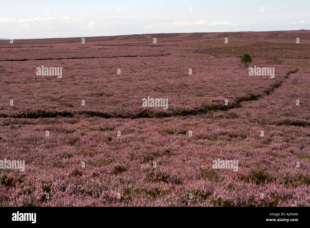 Lost on the moors hi-res stock photography and images - Alamy