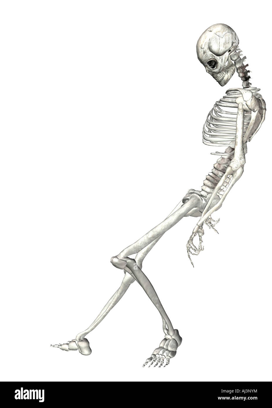 Skeleton isolated leaning Cut Out Stock Images & Pictures - Alamy Skeleton isolated leaning Cut Out Stock Images & Pictures - Alamy
