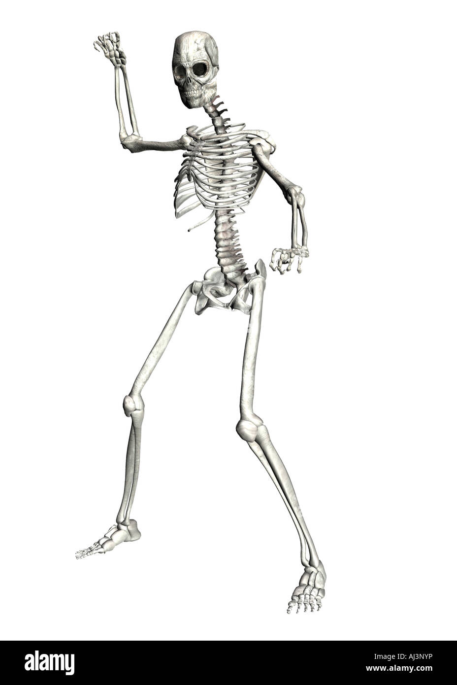 Fighting skeleton hi-res stock photography and images - Alamy