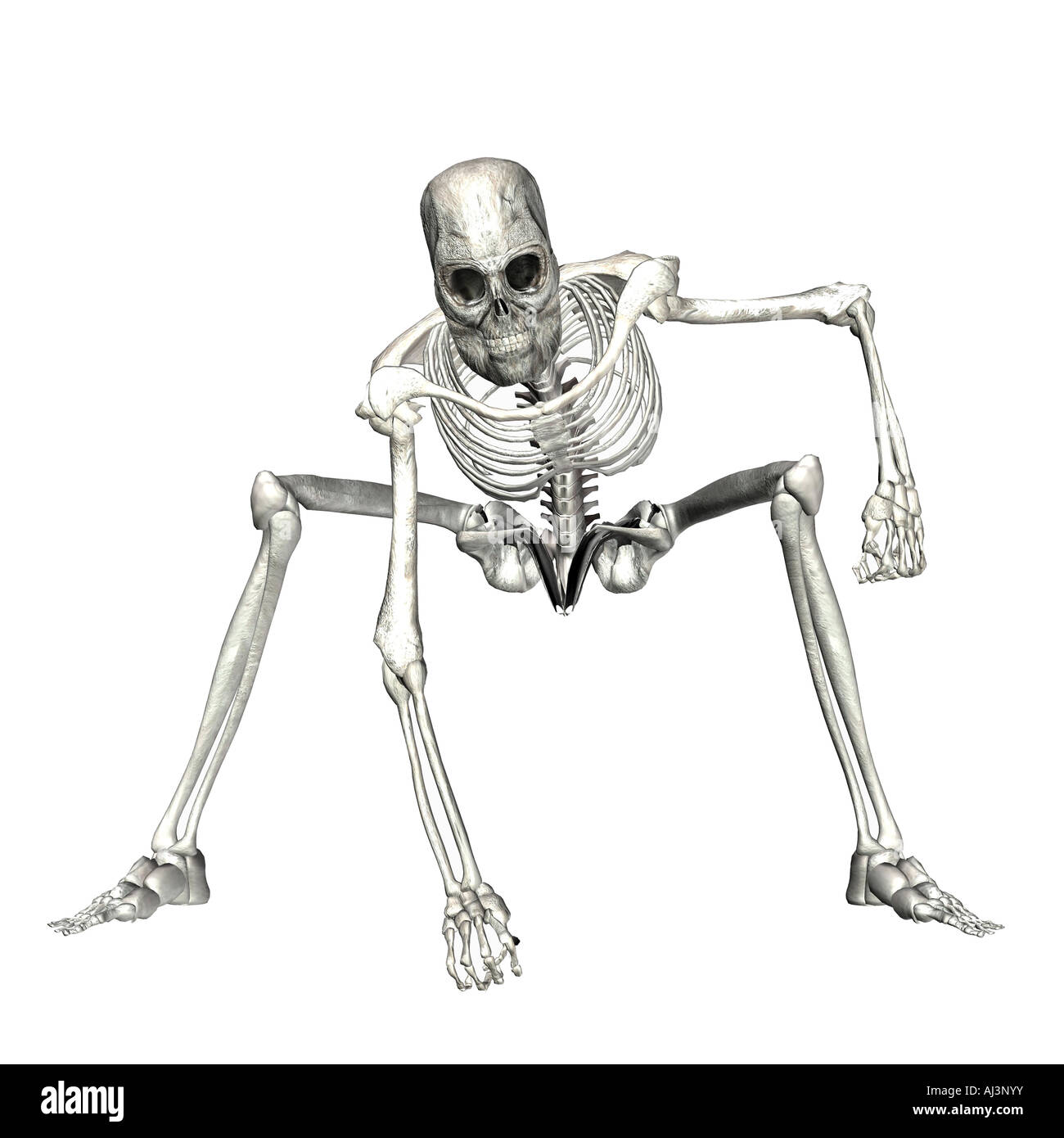 3d skeleton Cut Out Stock Images & Pictures - Alamy