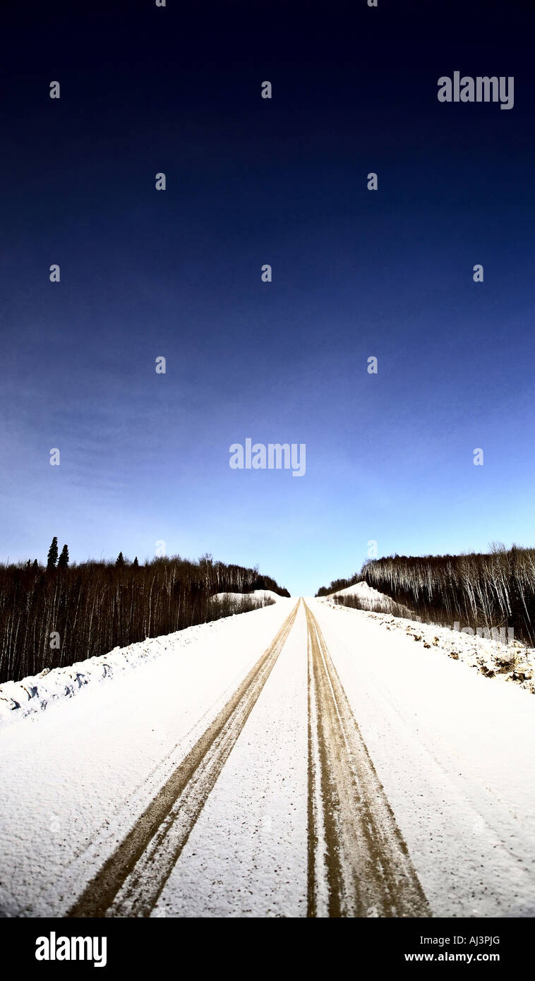 Logging tracks hi-res stock photography and images - Alamy