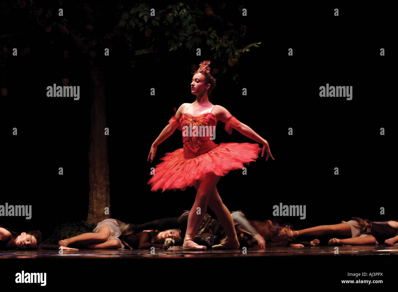 Ballet performance of the Firebird Stock Photo - Alamy